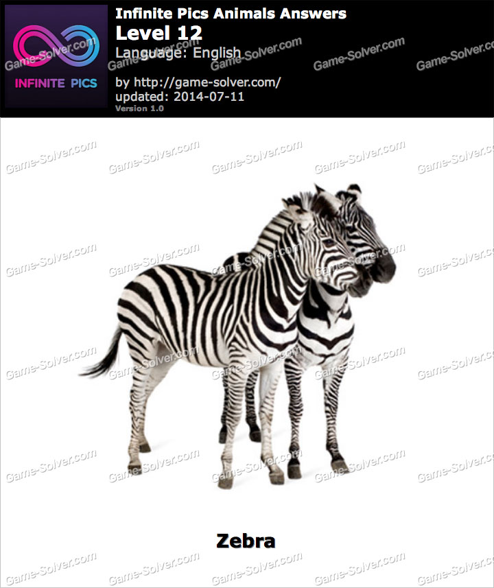 Infinite Pics Animals Level 12 • Game Solver