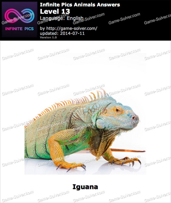 Infinite Pics Animals Level 13 • Game Solver