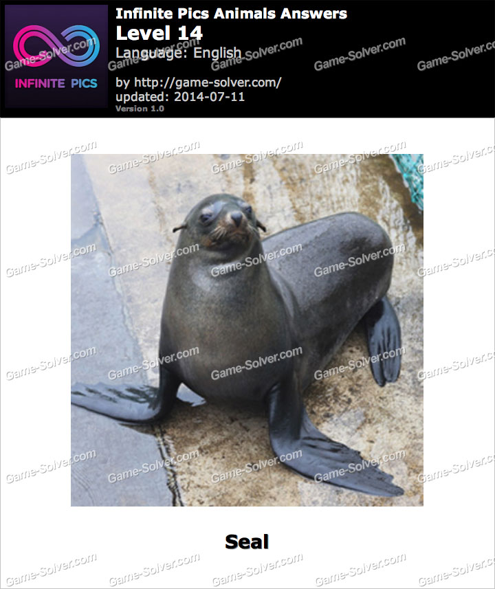 Infinite Pics Animals Level 14 • Game Solver