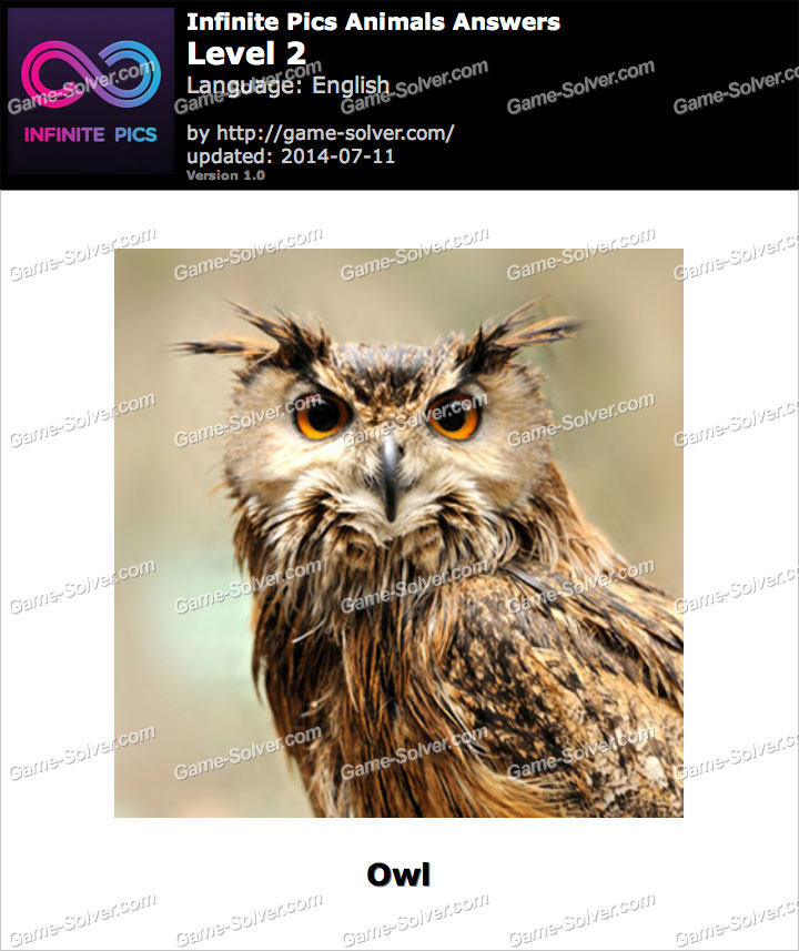 Infinite Pics Animals Level 2 • Game Solver