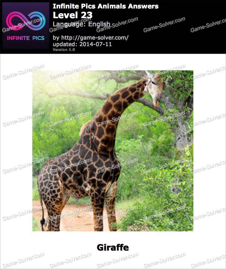 Infinite Pics Animals Level 23 • Game Solver