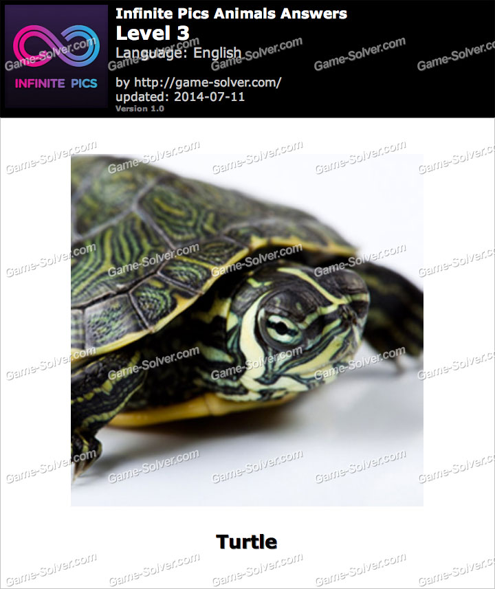 Infinite Pics Animals Level 3 • Game Solver