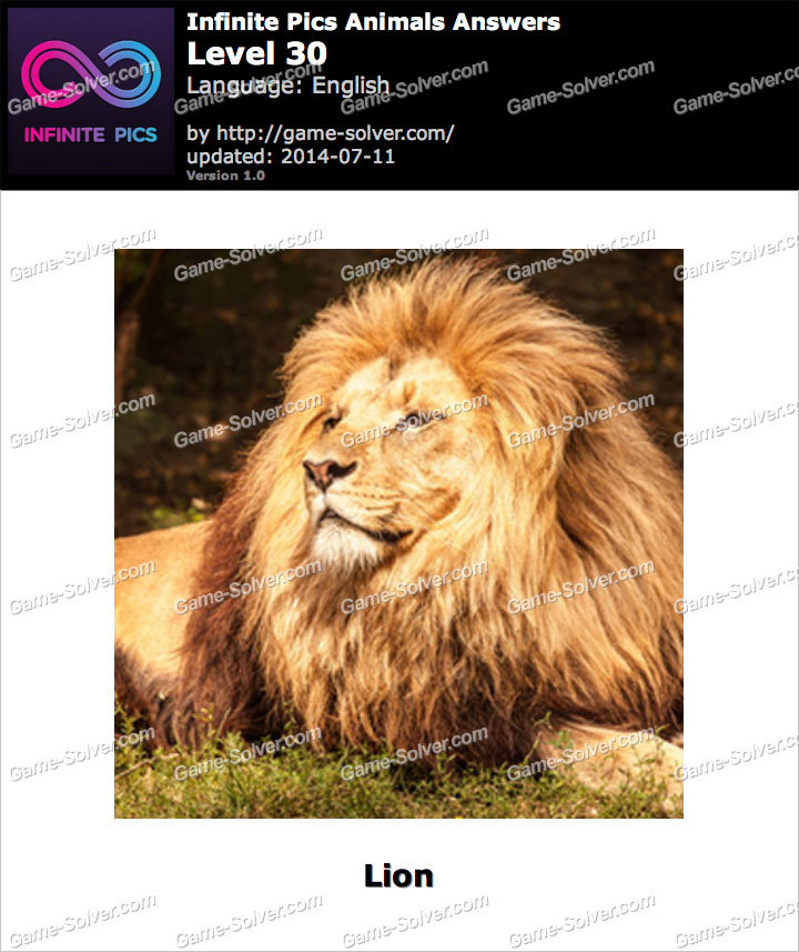 Infinite Pics Animals Level 30 • Game Solver