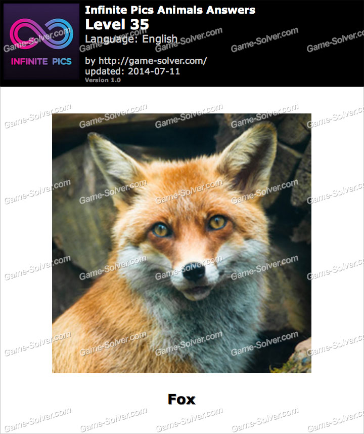 Infinite Pics Animals Level 35 • Game Solver