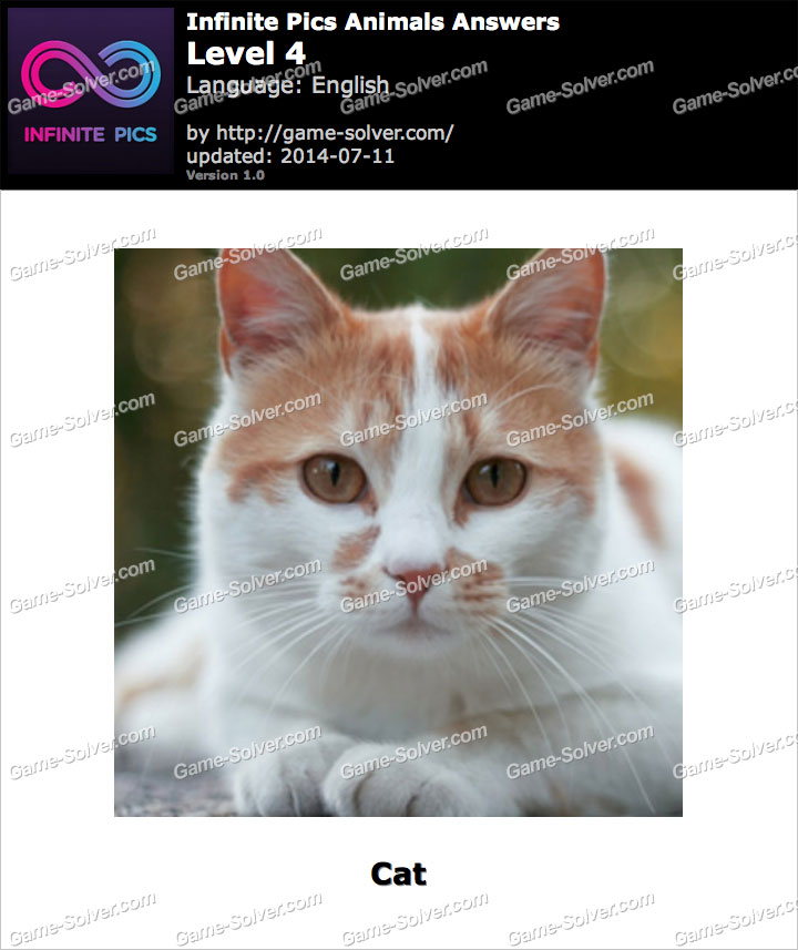 Infinite Pics Animals Level 4 • Game Solver