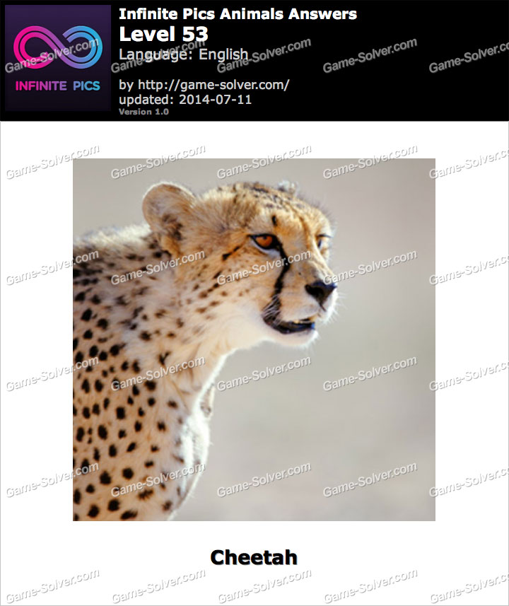 Infinite Pics Animals Level 53 • Game Solver
