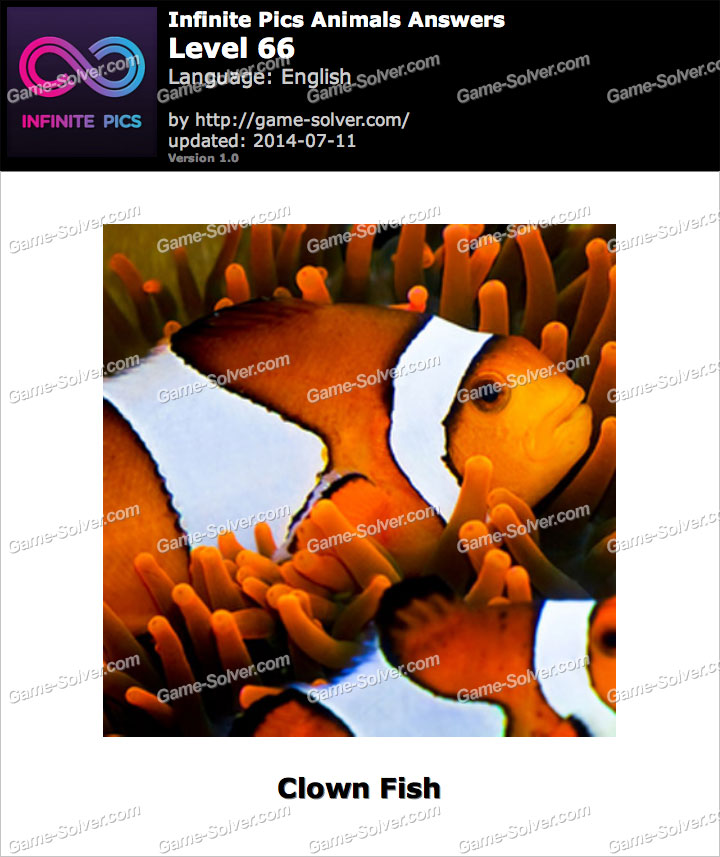 Infinite Pics Animals Level 66 • Game Solver