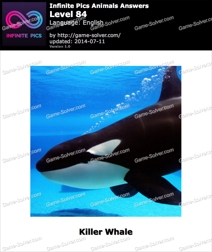 Infinite Pics Animals Level 84 • Game Solver