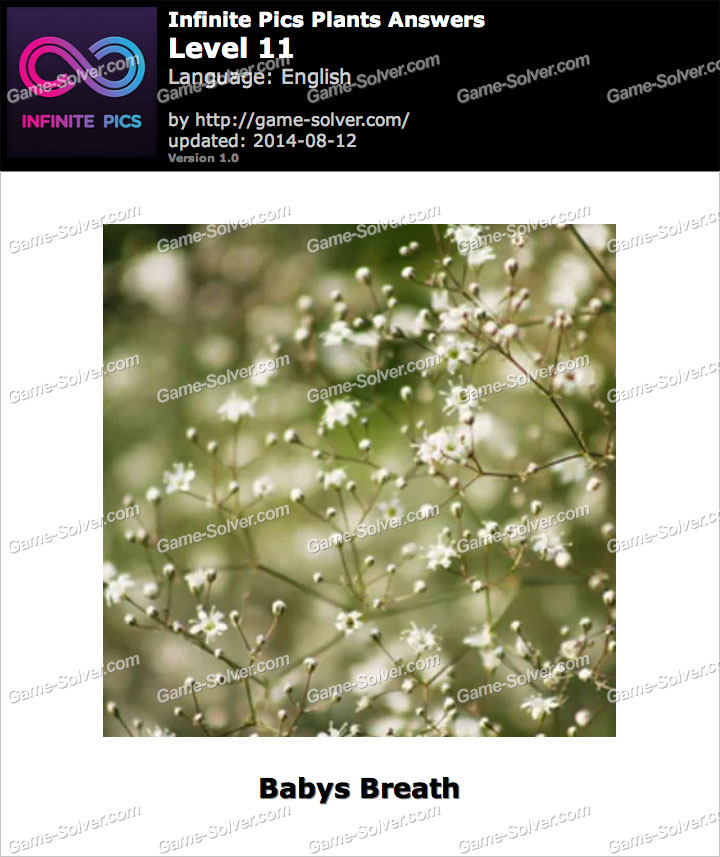 Infinite Pics Plants Level 11 • Game Solver