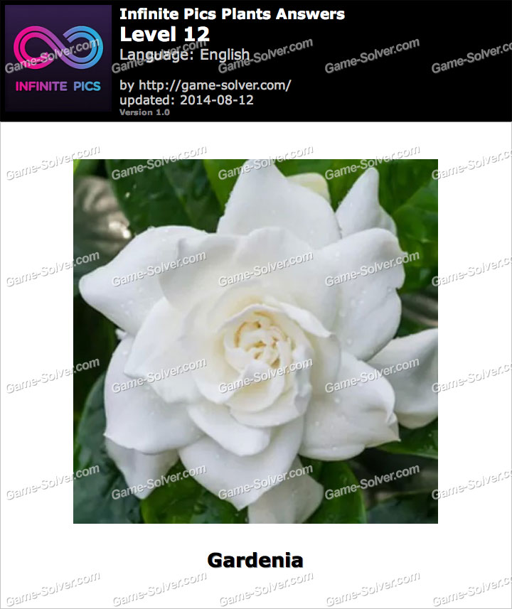 Infinite Pics Plants Level 12 • Game Solver