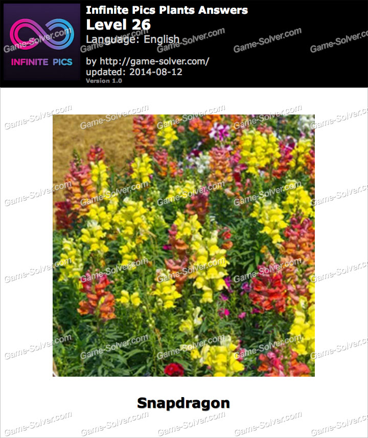 Infinite Pics Plants Level 26 • Game Solver