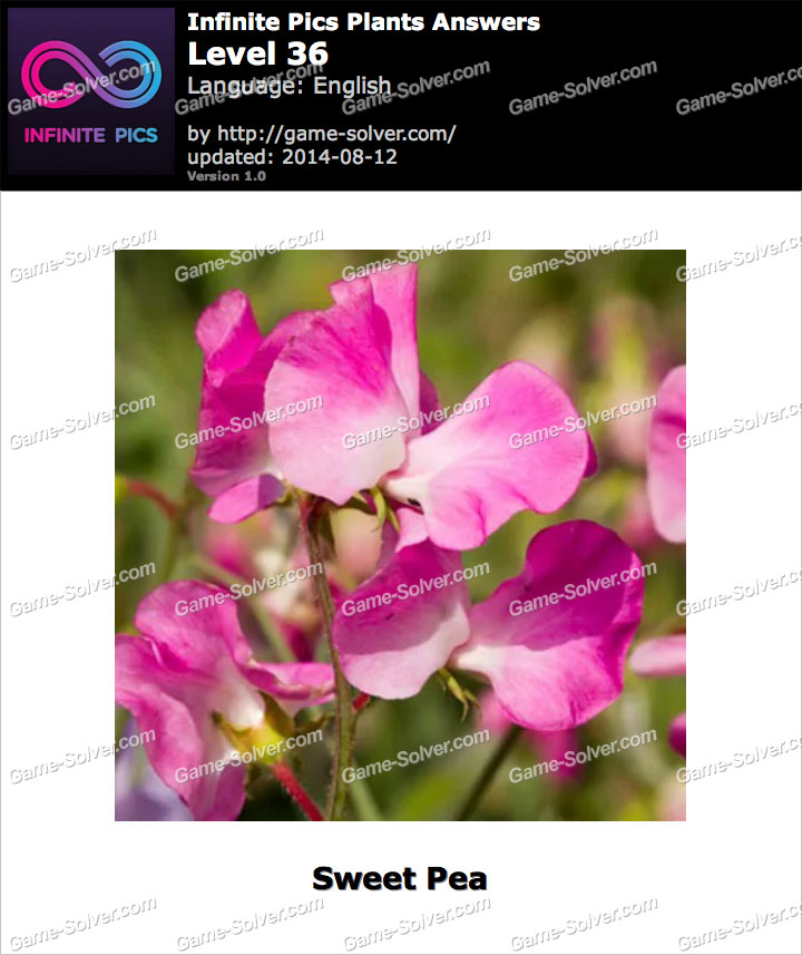 Infinite Pics Plants Level 36 • Game Solver