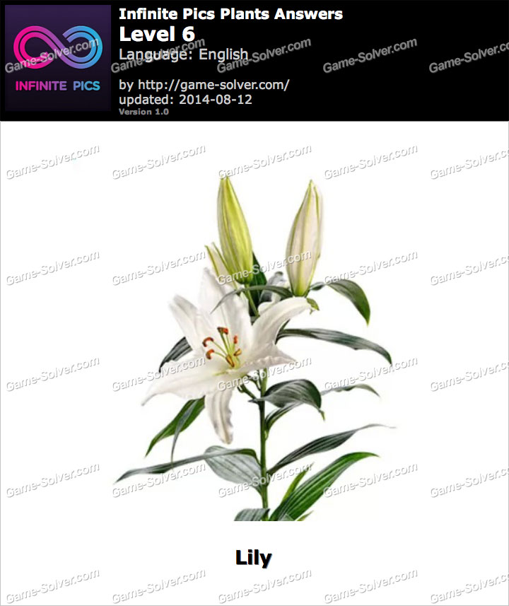 Infinite Pics Plants Level 6 • Game Solver