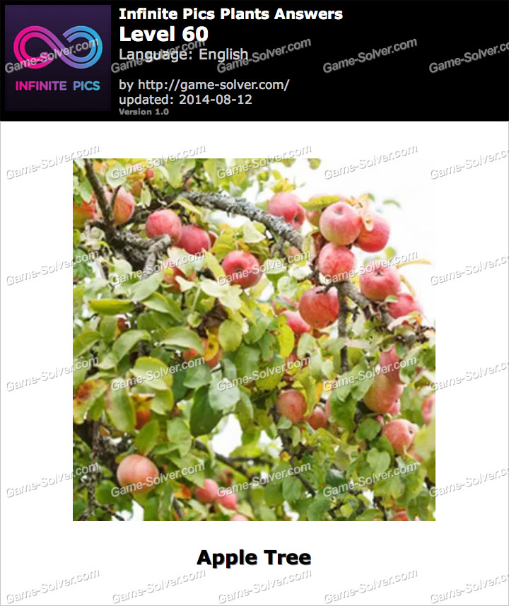Infinite Pics Plants Level 60 • Game Solver