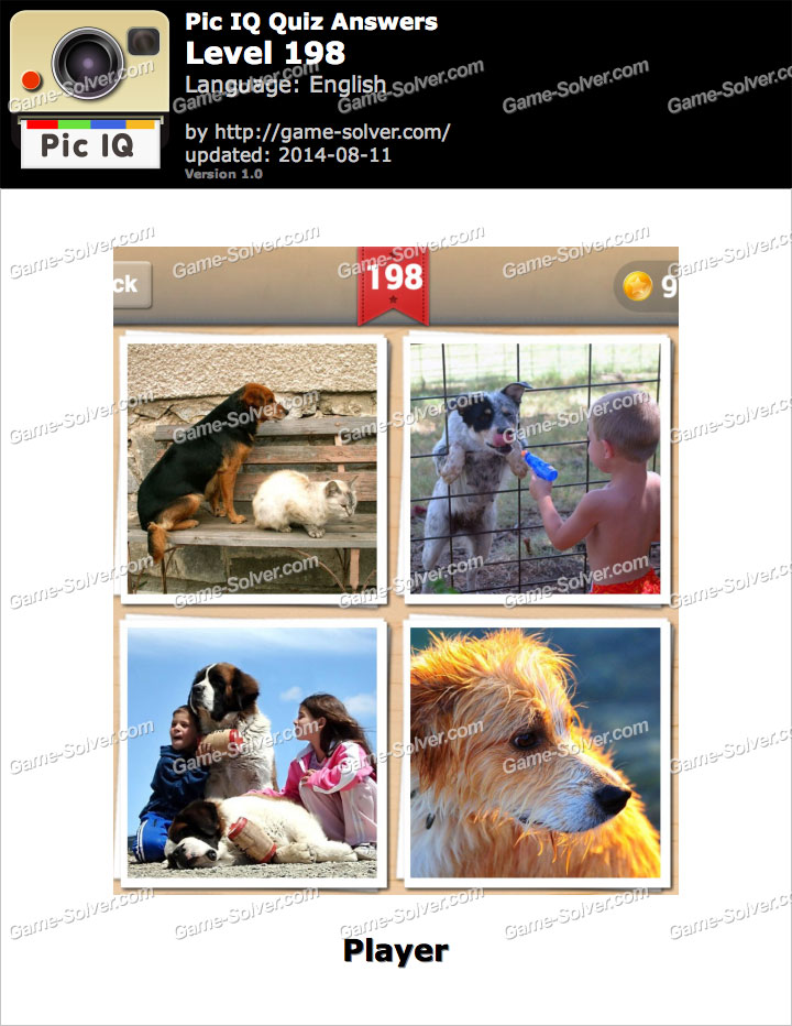Pic IQ Quiz Level 198 • Game Solver
