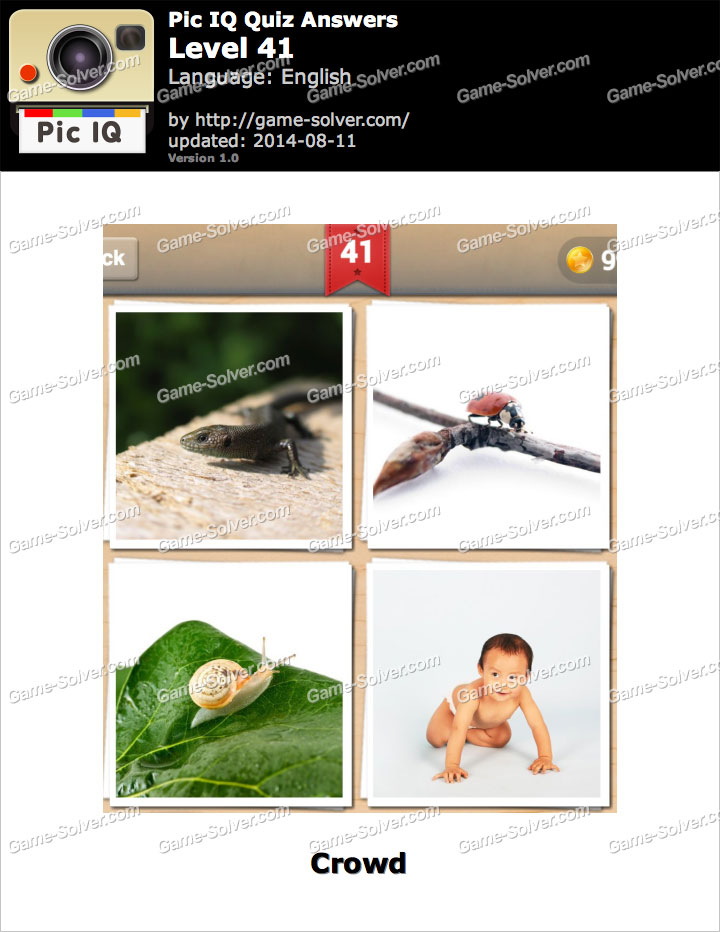 Pic IQ Quiz Level 41 • Game Solver
