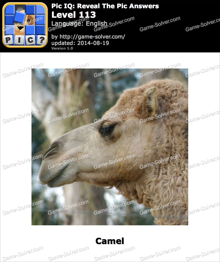 Pic IQ Reveal The Pic Level 113 • Game Solver
