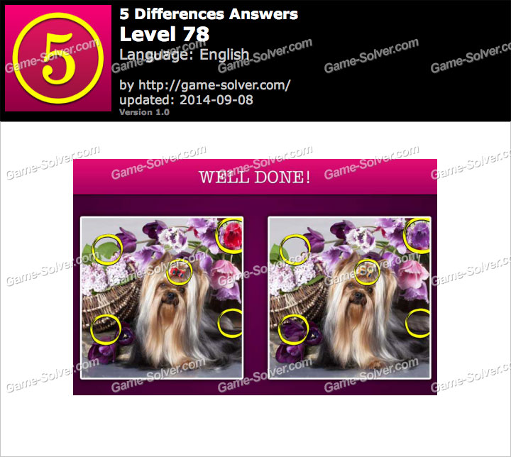 5 Differences Level 78 • Game Solver