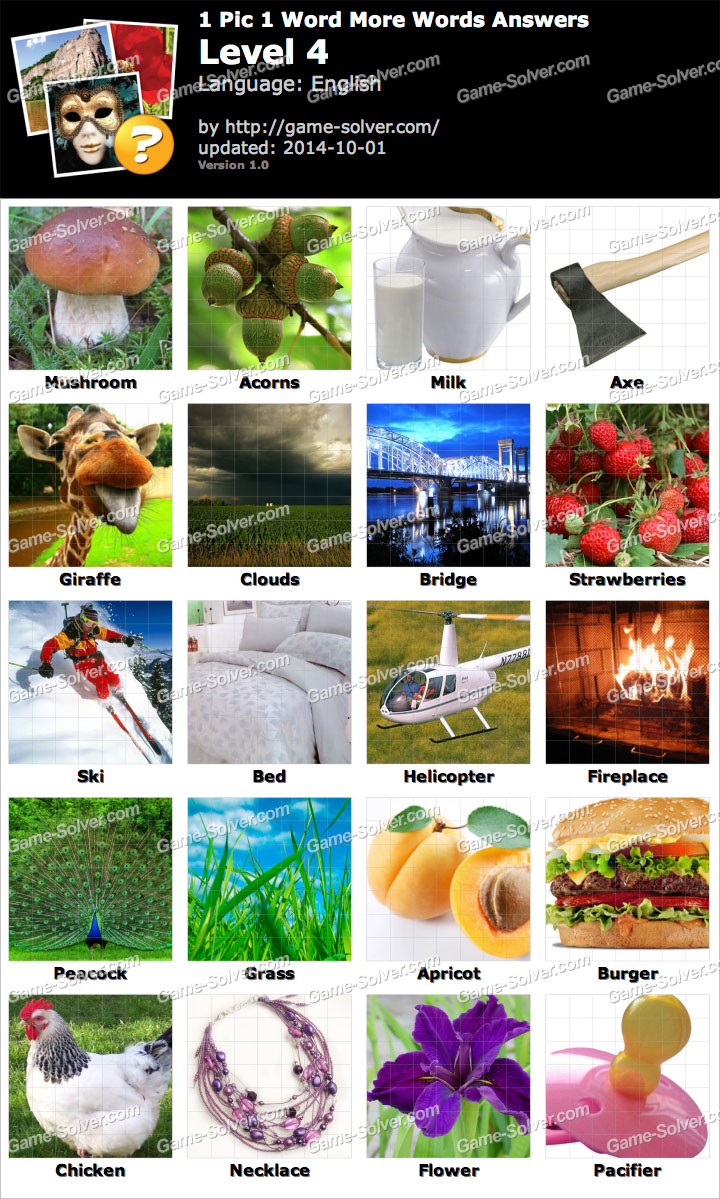 1 Pic 1 Word More Words Level 4 • Game Solver