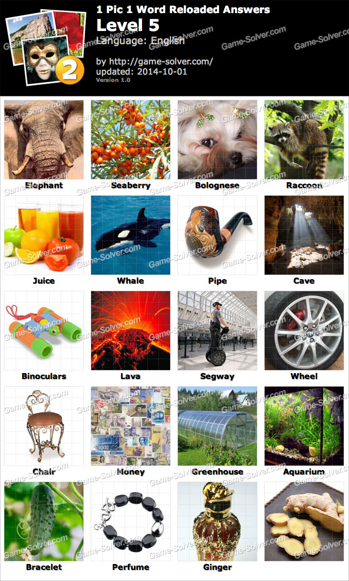 1 Pic 1 Word Reloaded Level 5 • Game Solver