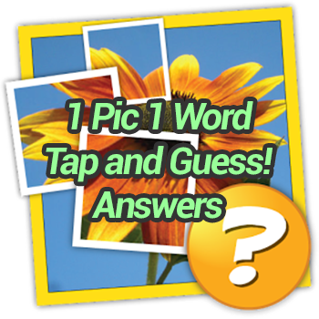 1 Pic 1 Word Tap And Guess Level 4 - Game Solver