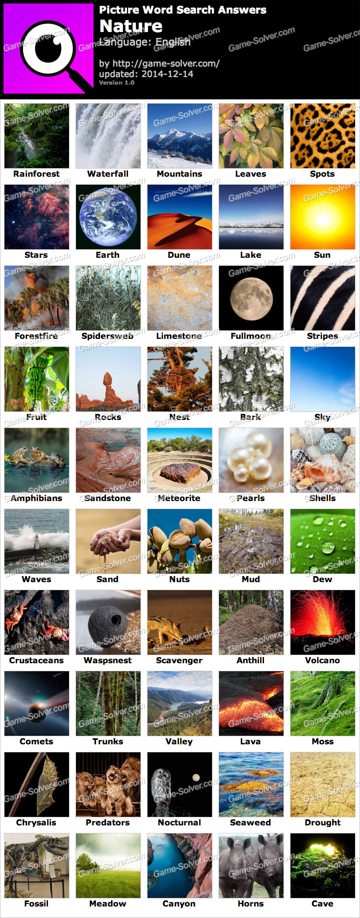 Picture Word Search Nature Answers • Game Solver