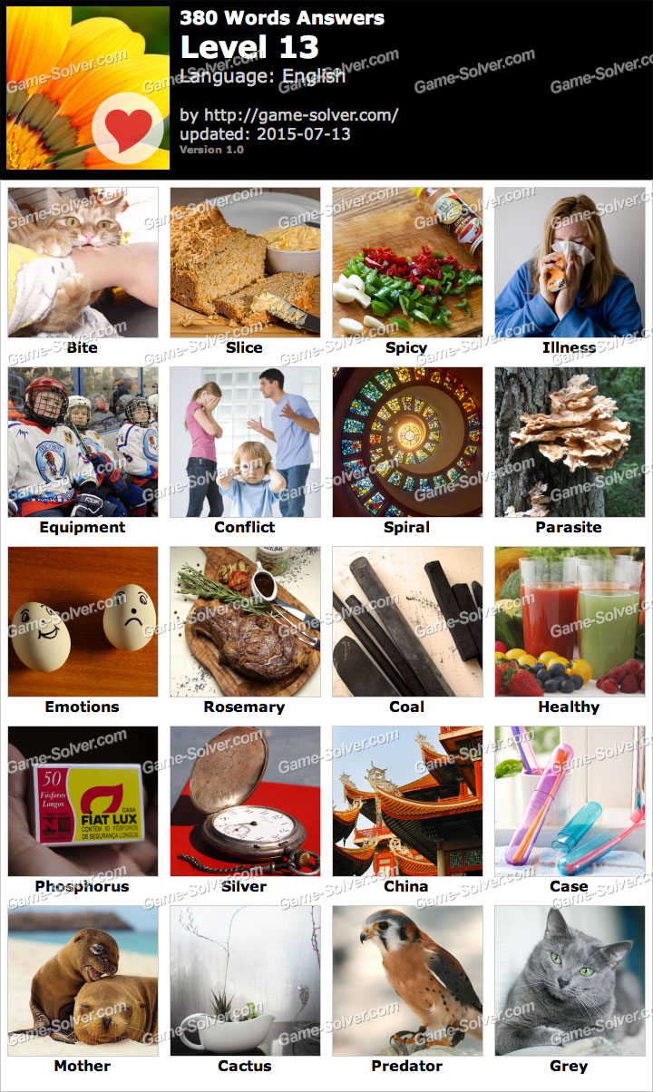 380 Words Level 13 • Game Solver