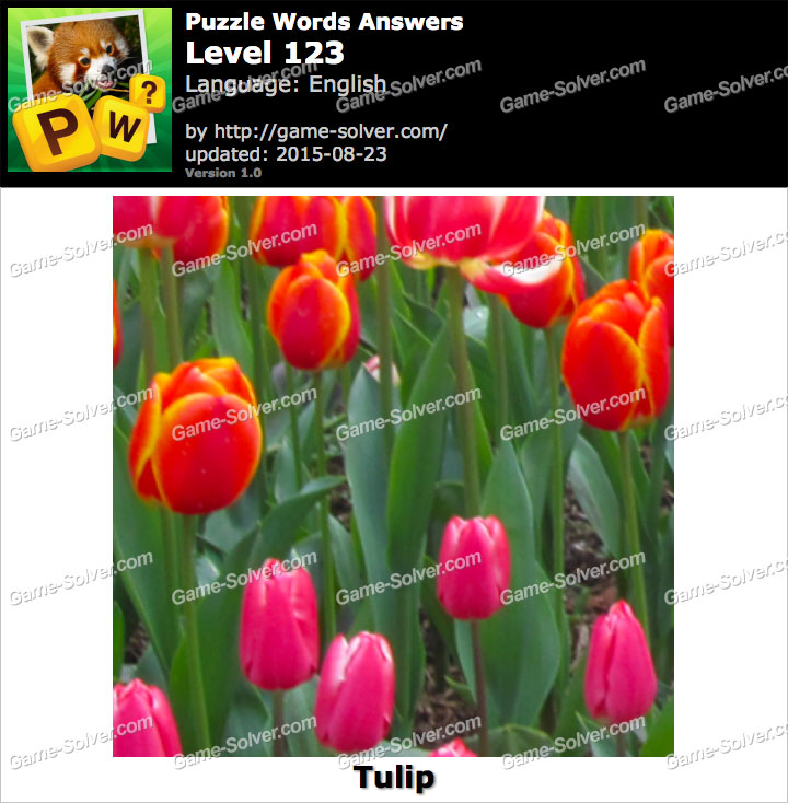 Puzzle Words Level 123 • Game Solver