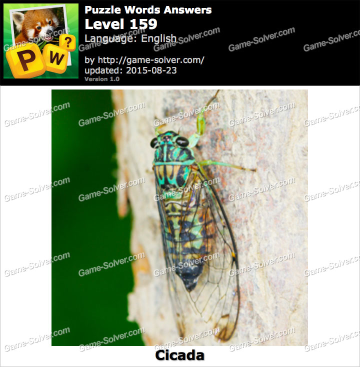 Puzzle Words Level 159 • Game Solver
