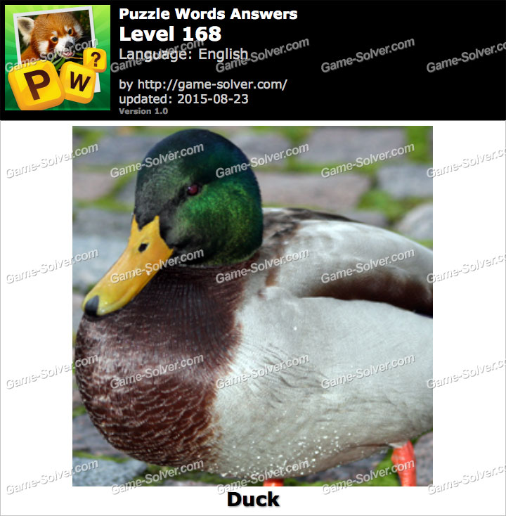 Puzzle Words Level 168 • Game Solver