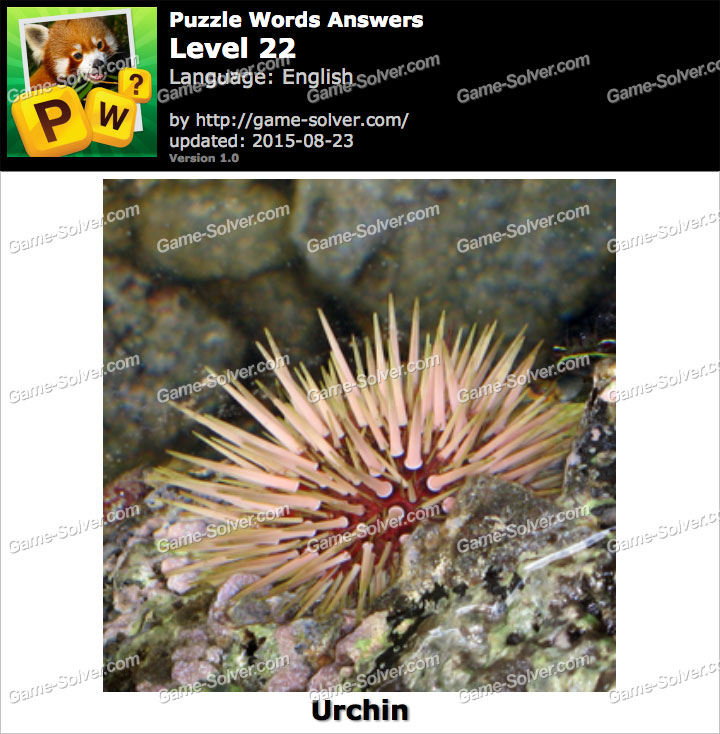 Puzzle Words Level 22 • Game Solver
