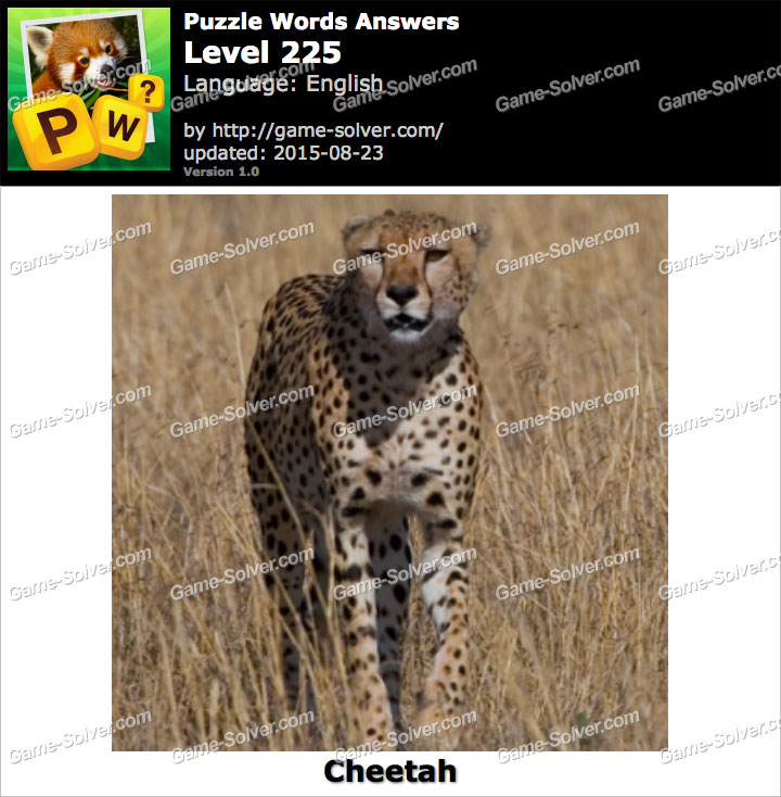 Puzzle Words Level 225 • Game Solver
