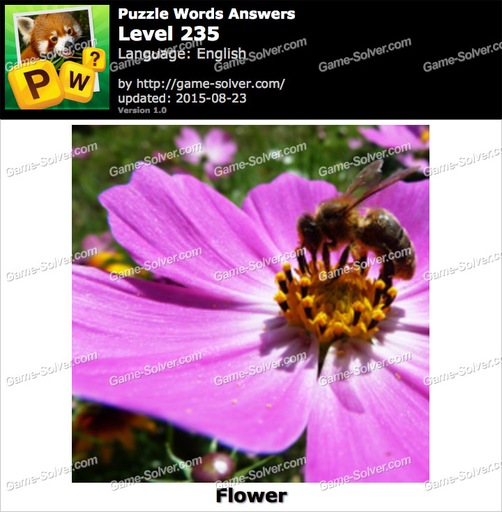 Puzzle Words Level 235 • Game Solver