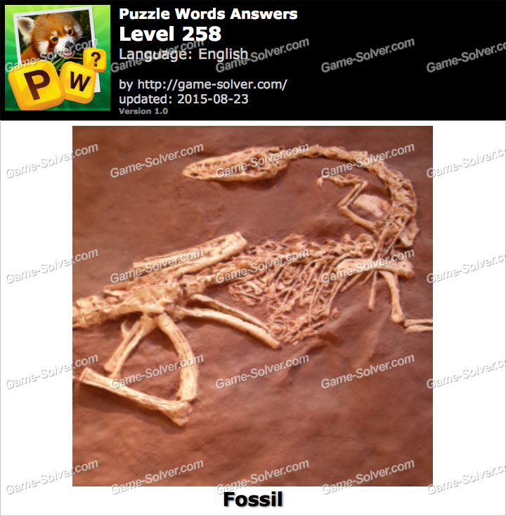 Puzzle Words Level 258 • Game Solver