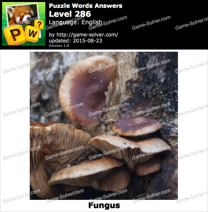 Puzzle Words Level 286 • Game Solver