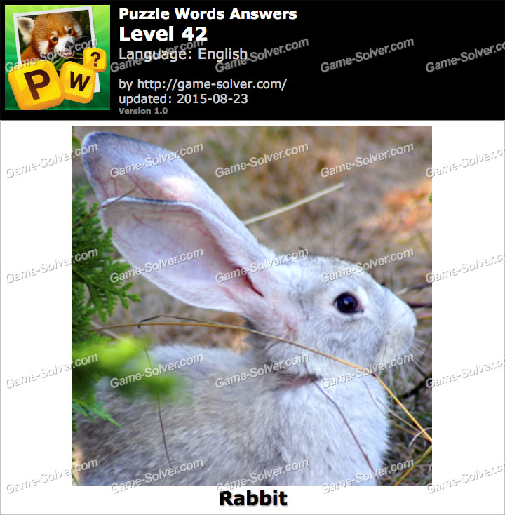 Puzzle Words Level 42 • Game Solver
