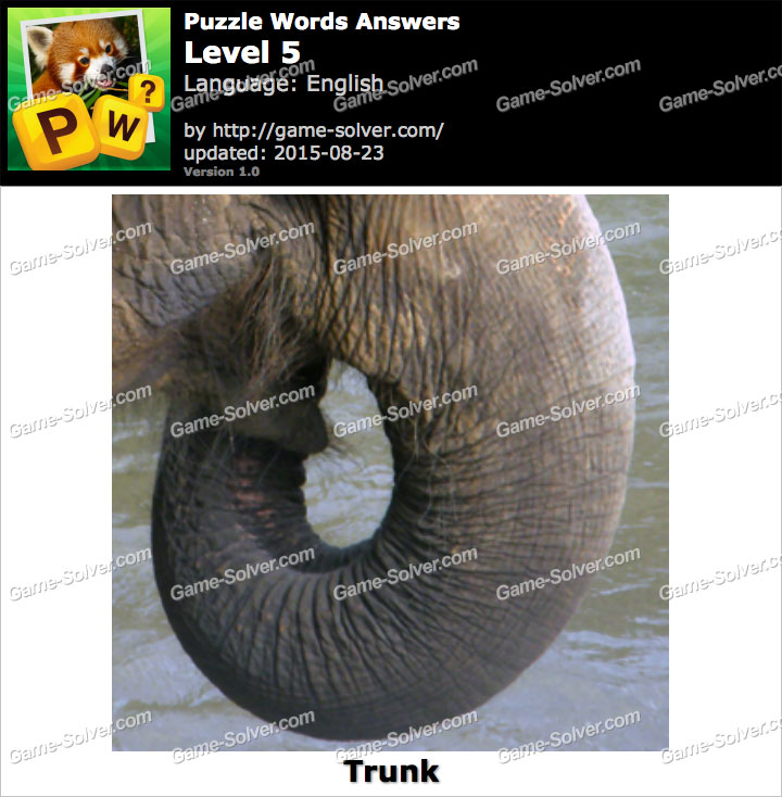 Puzzle Words Level 5 • Game Solver