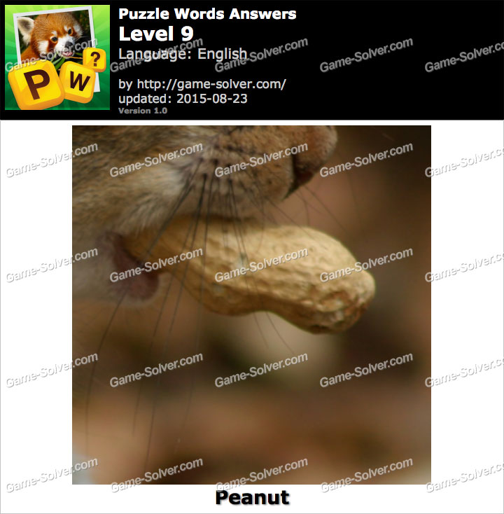 Puzzle Words Level 9 • Game Solver