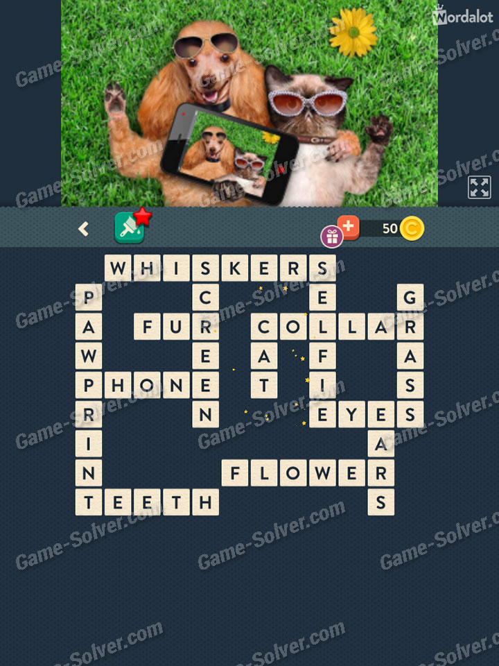 Wordalot Word Slinger Pack 2 Level 6 Answers • Game Solver