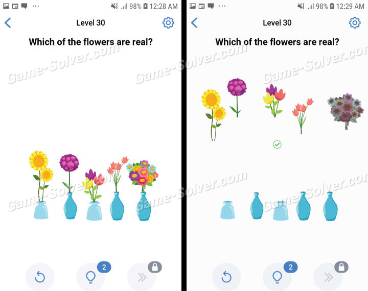 Easy Game Level 30 Which of the flowers are real? • Game Solver